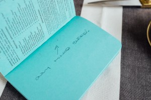 Field Notes Spring 2016 Colors Edition – “Sweet Tooth” – edjelley.com ...